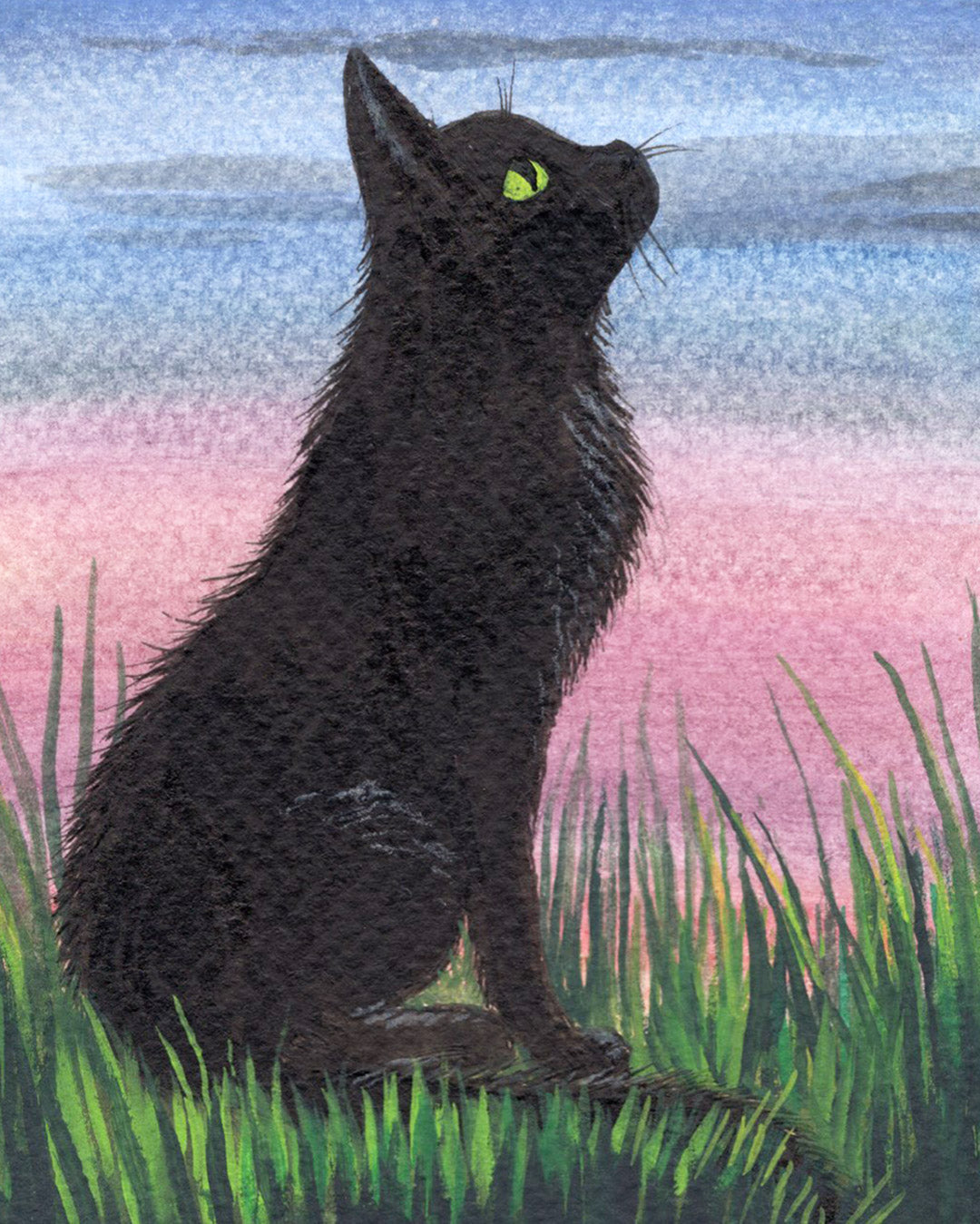 Highlights – Spyderthread